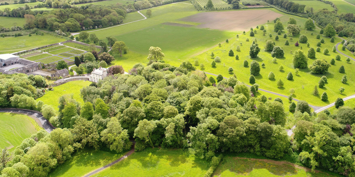 The Estate - Attyflin Estate