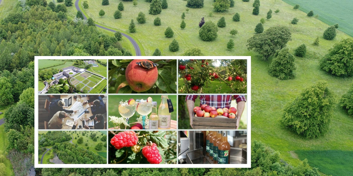 Visit - Attyflin Estate